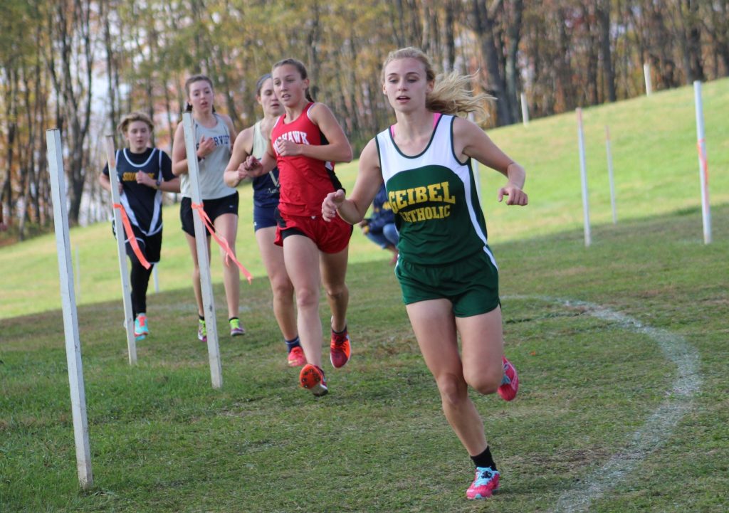 Quarzo Finishes Second In Wpial Cc Championship Herald Standard